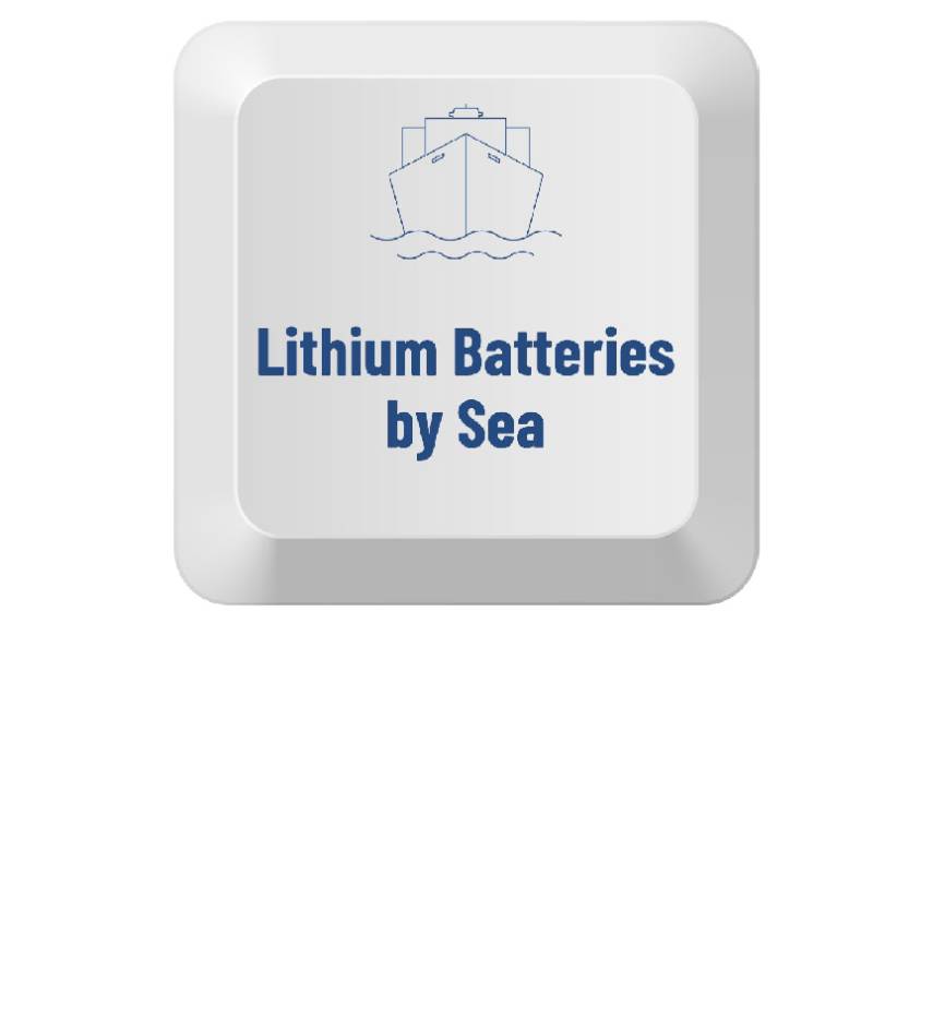 Sea E-Learning Courses - Logicom Hub